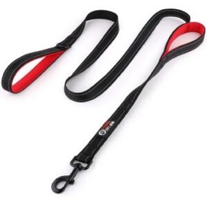 Top 10 Best Cat Leash for Safe and Fun Outdoor Adventures