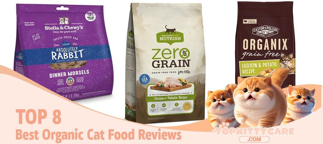 Top 8 Best Organic Cat Food Brands for a Healthy Feline Diet - Top ...