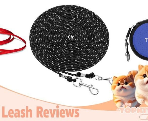 Top 8 Best Cat Collar Reviews: Buyer's Guide for Safety