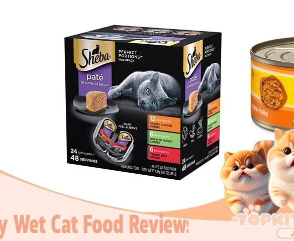 Top 10 Cheap Cat Food for Nutritious and Budget-Friendly Meals